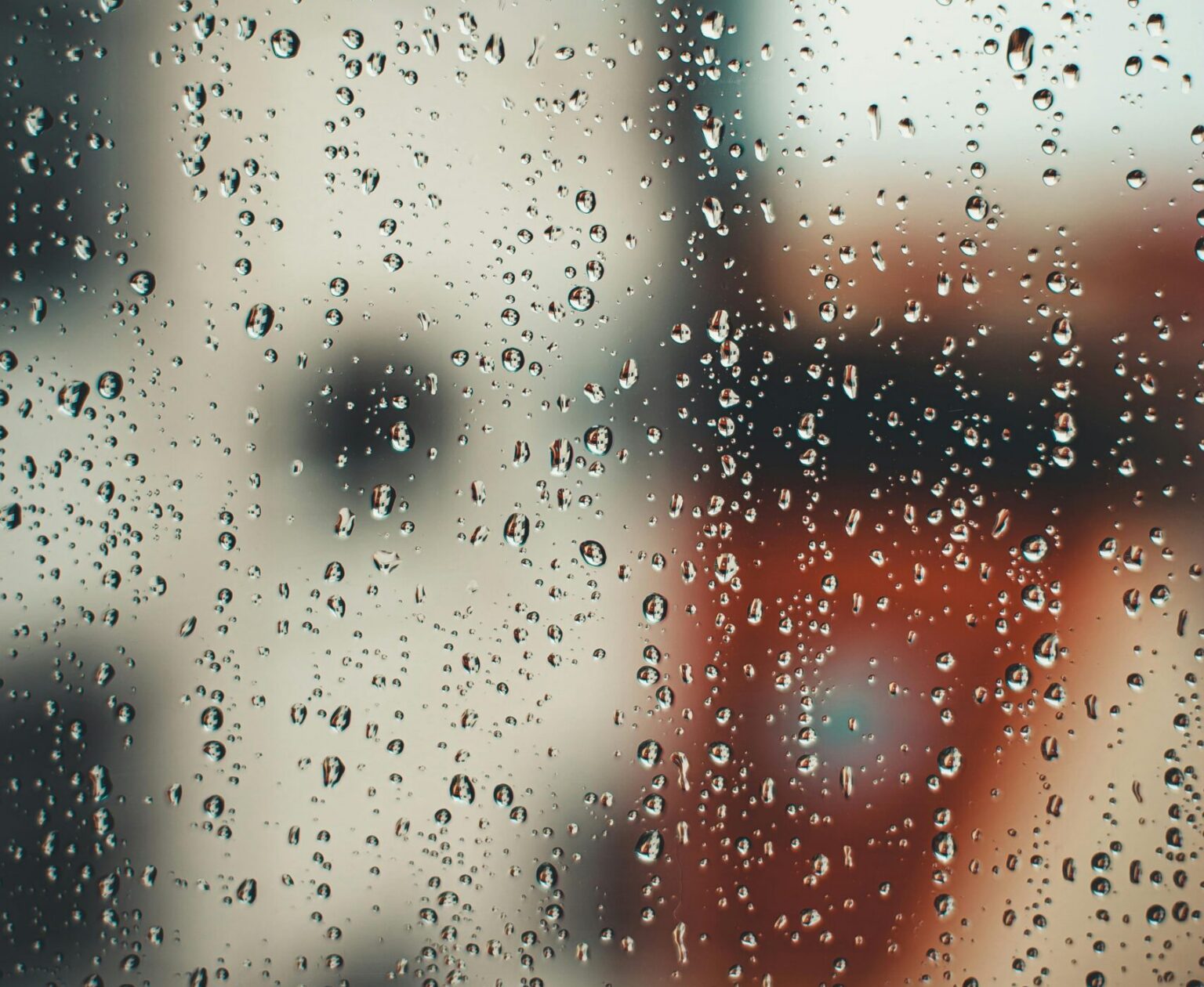 Condensation on Windows in Winter | Mercurio’s
